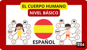 Vocabulario del Cuerpo Humano en Español 🇪🇸 | Nivel Básico - Hola Español